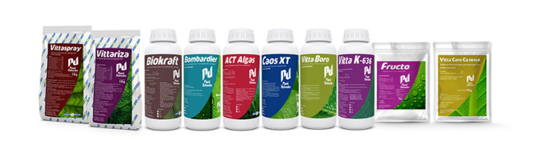 Plantio de café: Saiba como a nutrição via solo e foliar são ...